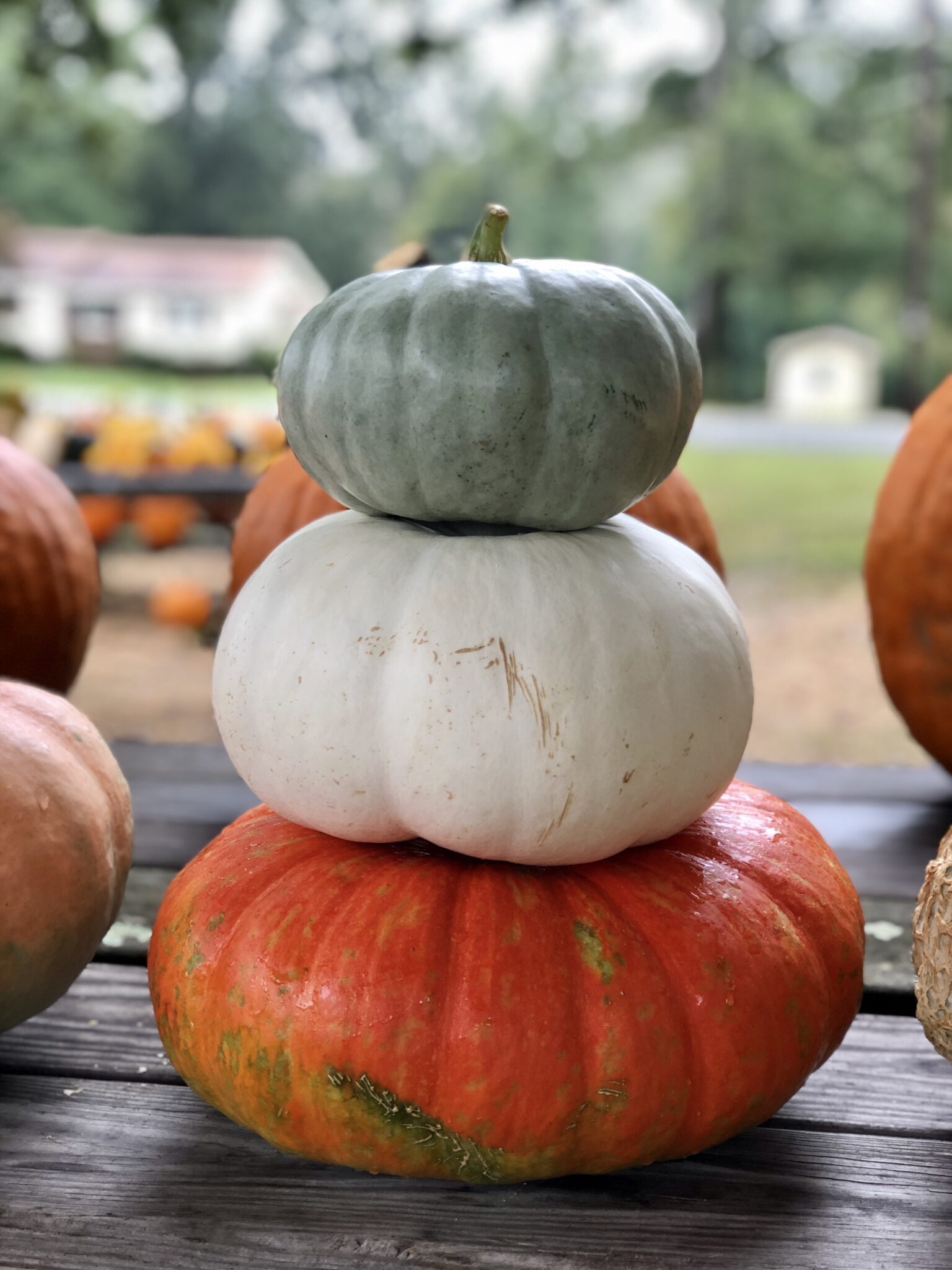 Our Produce – Rudd Farm